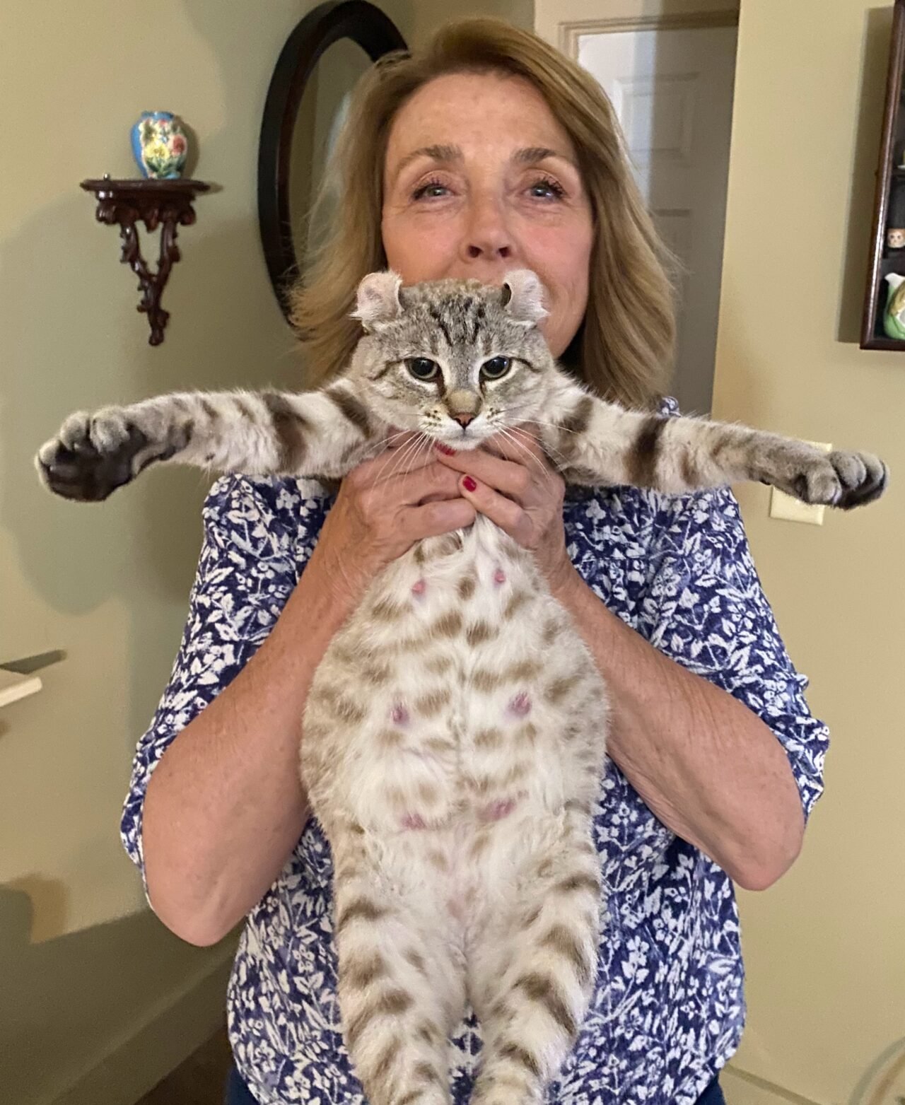 Home - RockStar Cattery NH